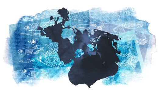 Ocean Culture | One Ocean Hub