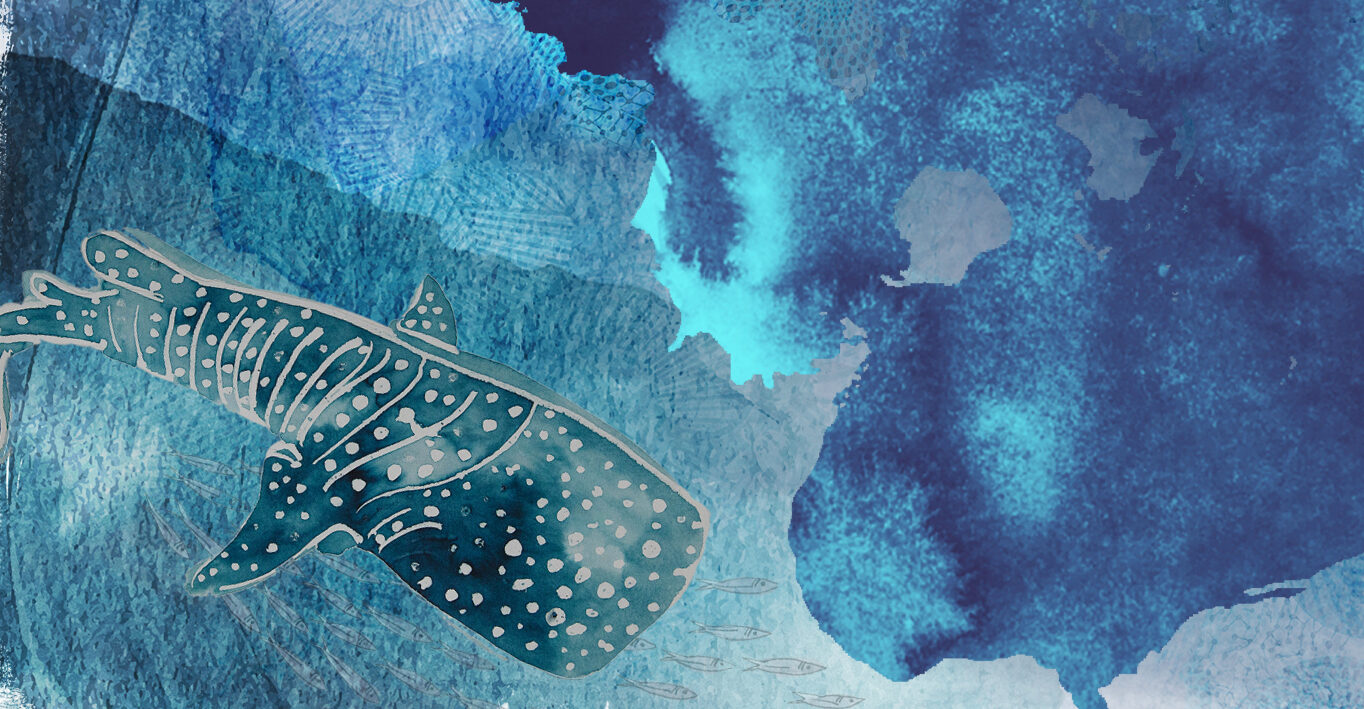 Ocean Culture | One Ocean Hub