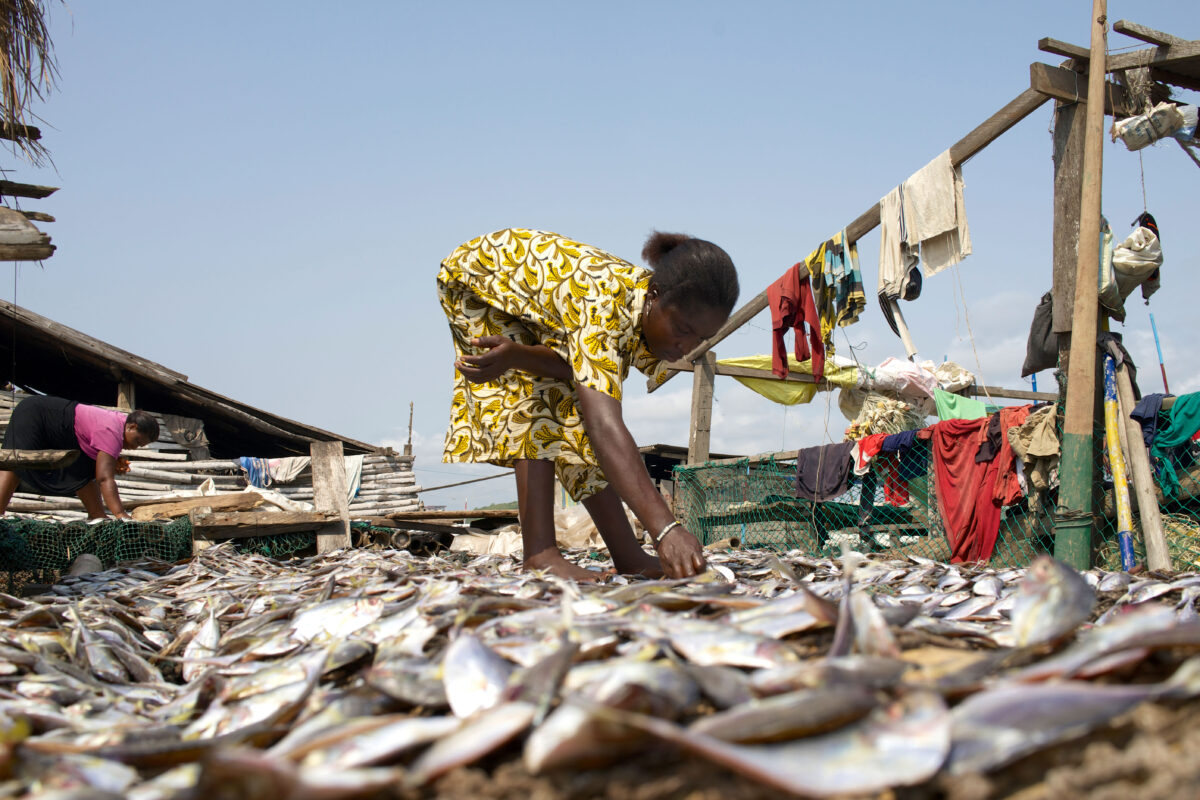 Ghana | One Ocean Hub