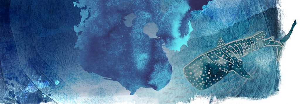 One Ocean Hub | Fair and inclusive decision-making for a healthy ocean