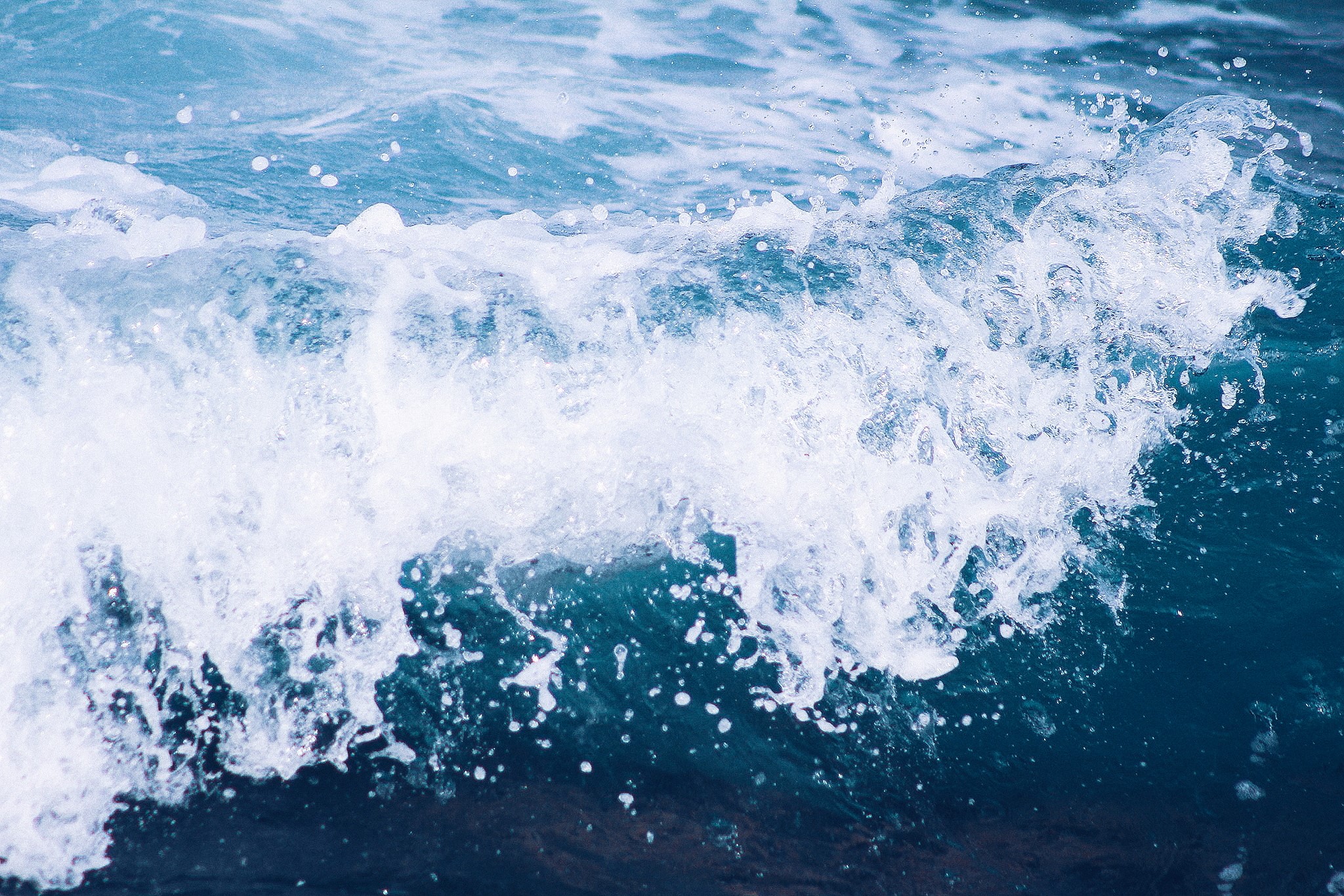 Southern Benguela Ecosystem Model | One Ocean Hub