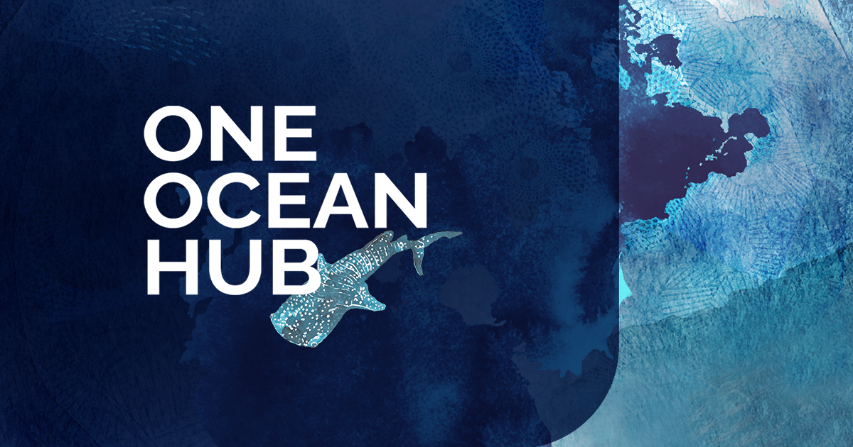 One Ocean Hub unites to adapt to immediate, unexpected and significant ...