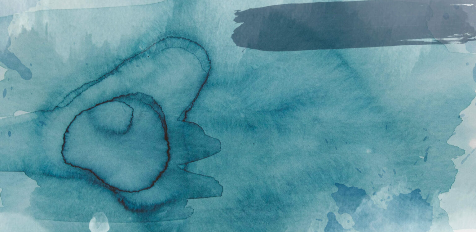 Marine Spatial Planning | One Ocean Hub