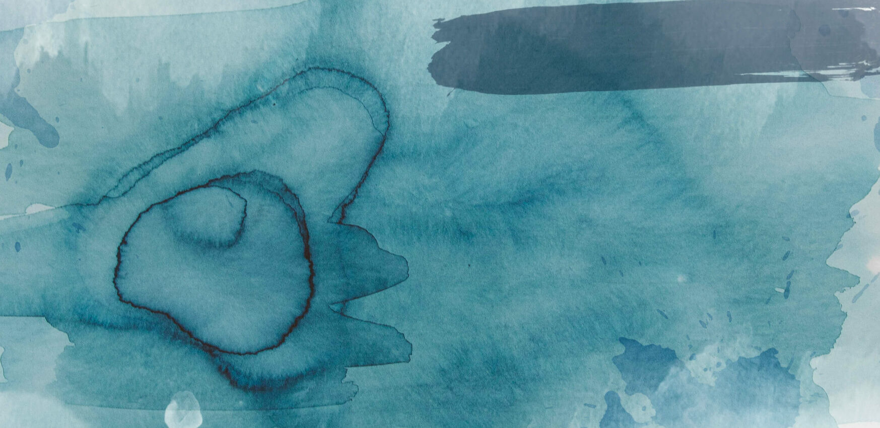 Marine Spatial Planning | One Ocean Hub