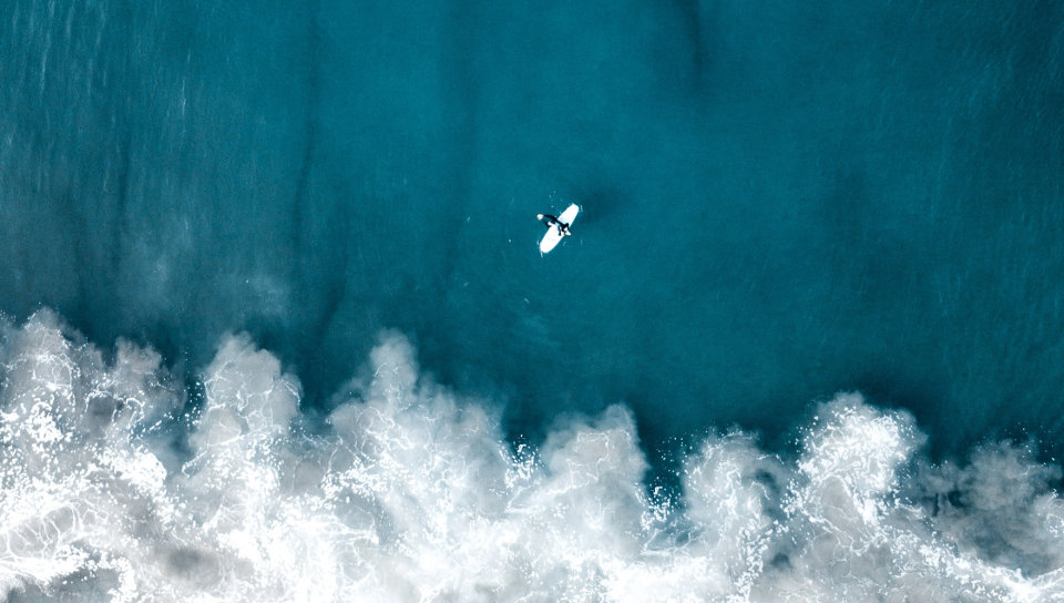 Poaching of marine living resources: Can the tide be turned? | One ...