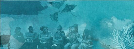 One Ocean Hub | Fair and inclusive decision-making for a healthy ocean