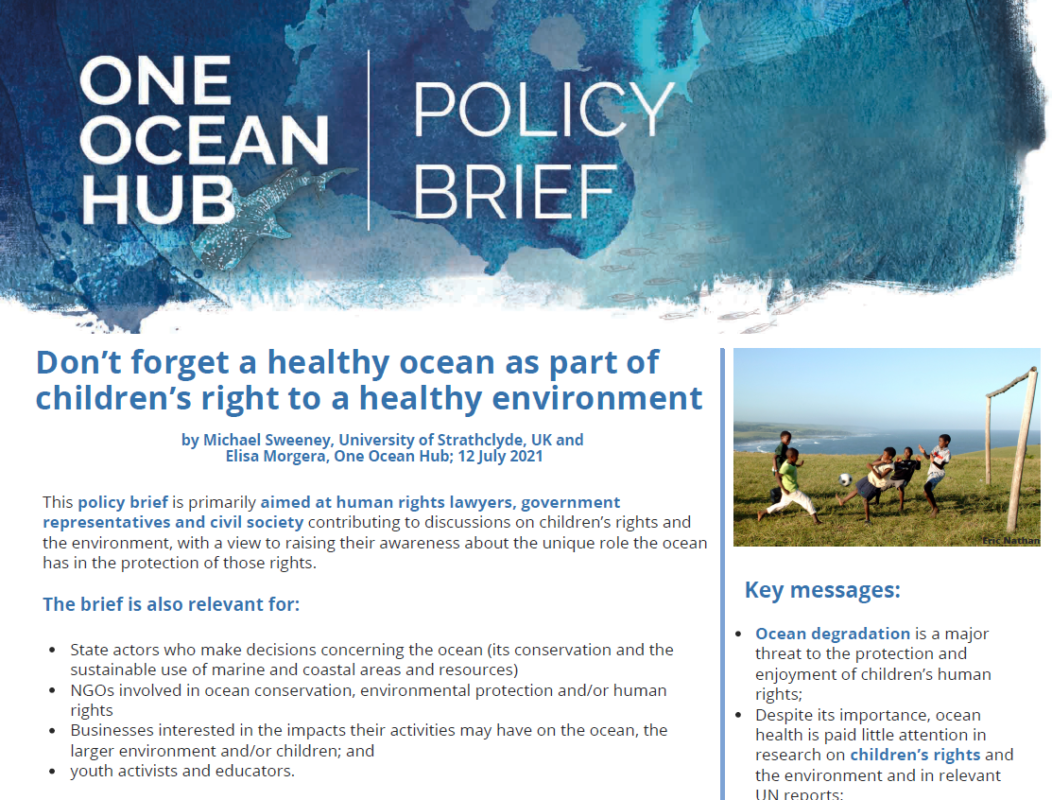 POLICY BRIEF: Don't forget a healthy ocean as part of children's right ...