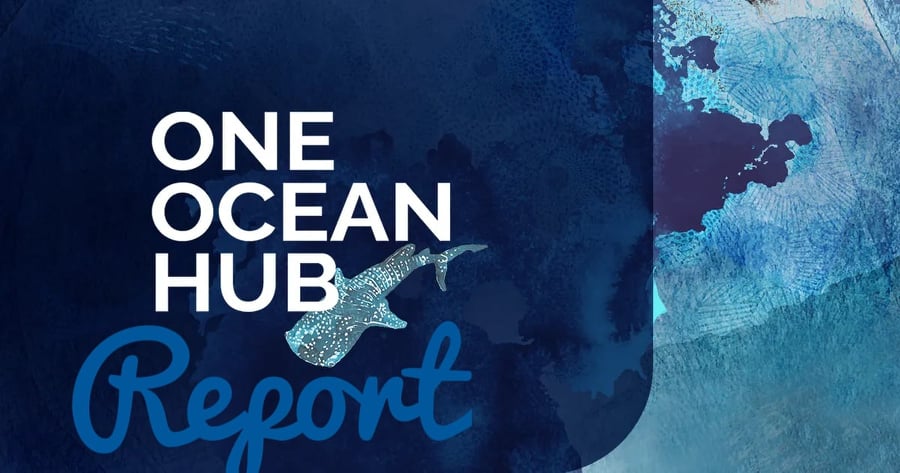 Challenges and Solutions to develop capacity for Deep-sea Research and ...