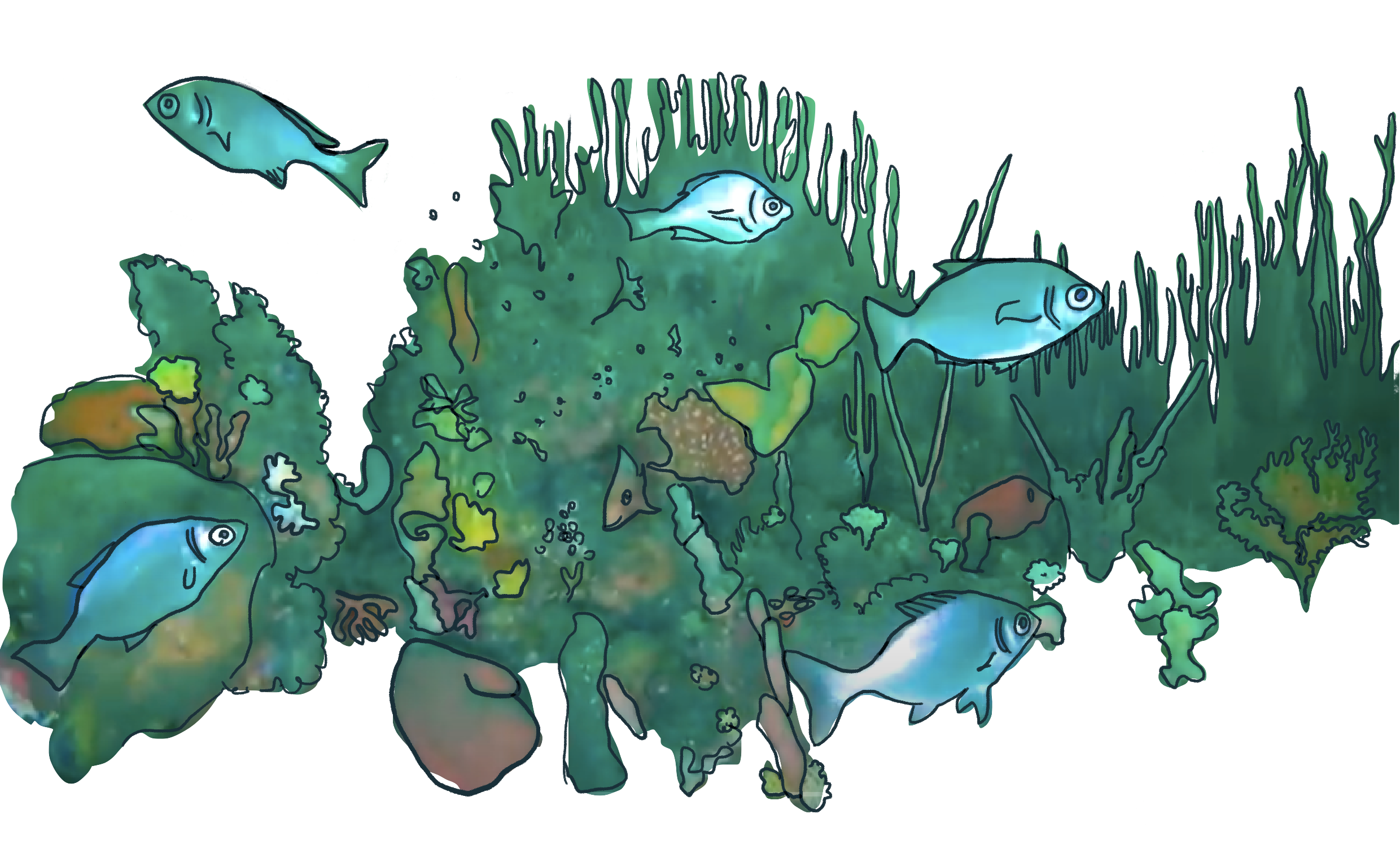 The implications of seabed mining in the Area for the human right to ...