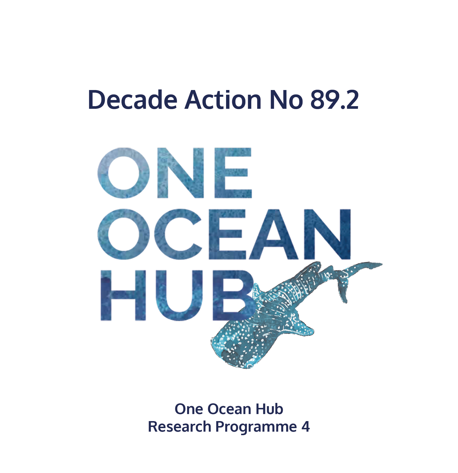 One Ocean Hub | Fair and inclusive decision-making for a healthy ocean