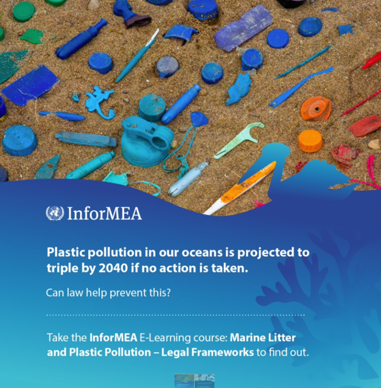 Engaging with unep on ocean plastics, environmental justice and human ...