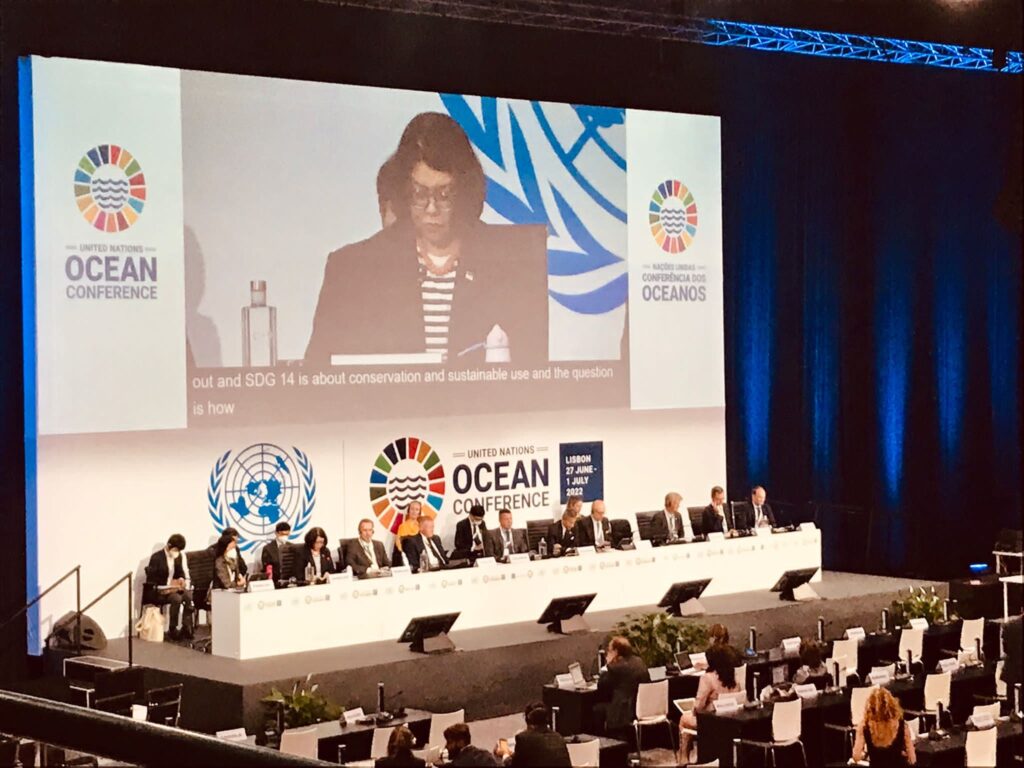Reflecting on the UN Ocean Conference and the need to scale up ocean ...