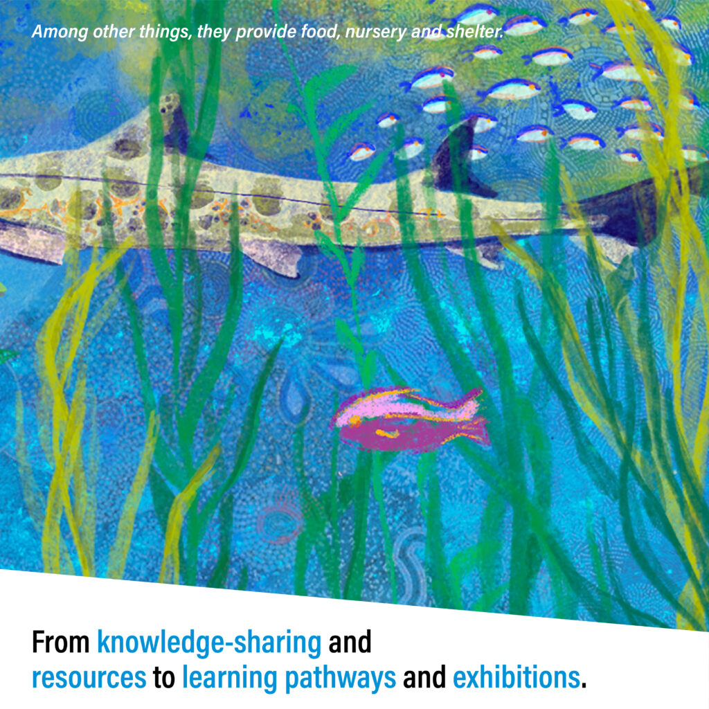 Get involved in our Platform to Revolutionise the Way Oceans Knowledge ...