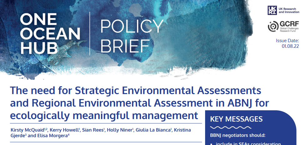 policy brief: the need for strategic environmental assessments and ...