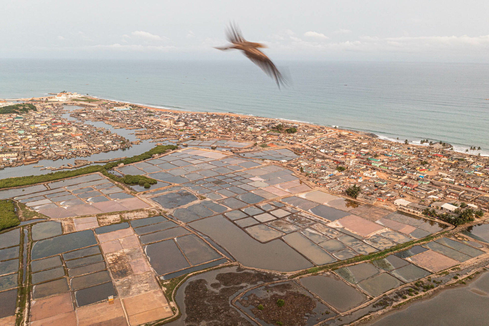 A reflection on the Global Biodiversity Framework | One Ocean Hub