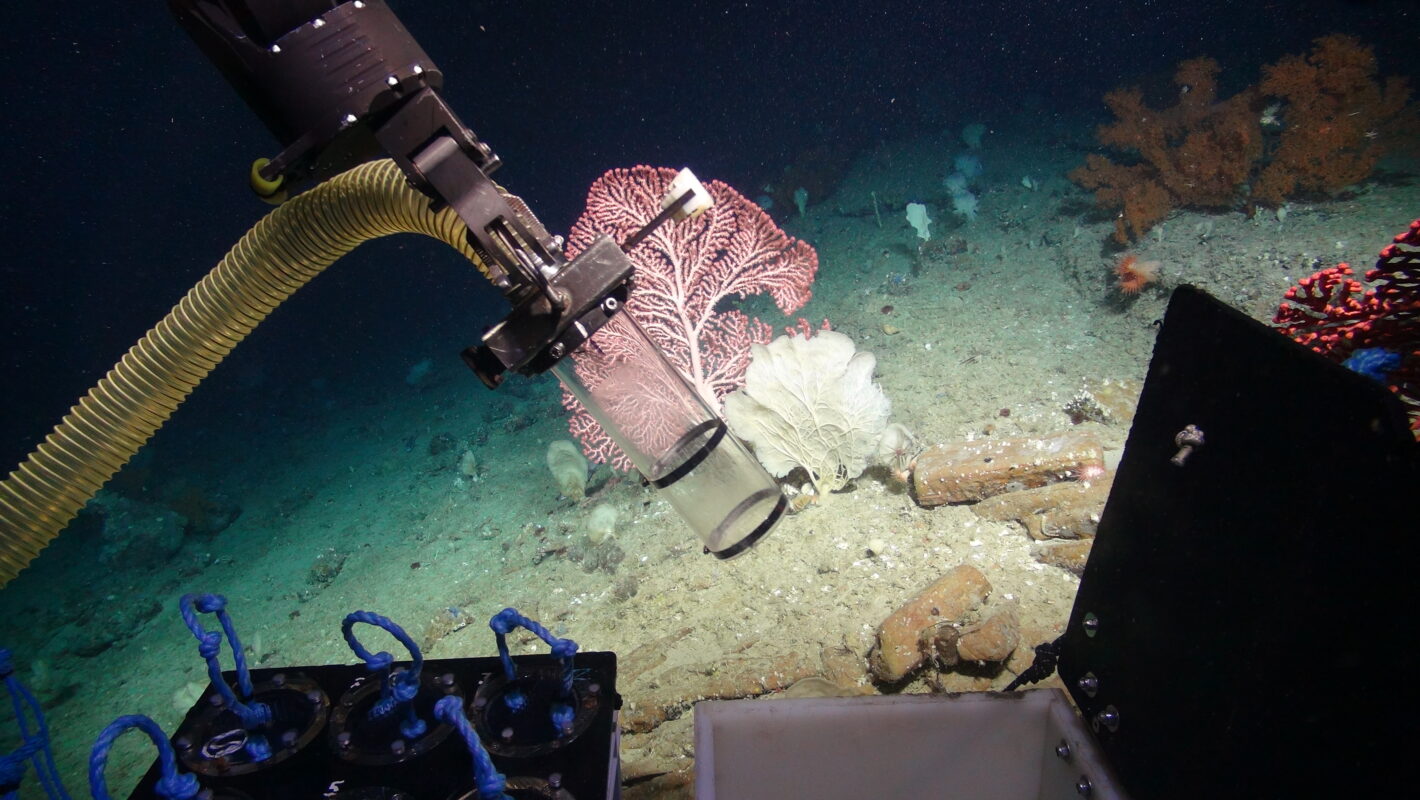 Release of a New Report: marine biodiscovery in south africa - science ...