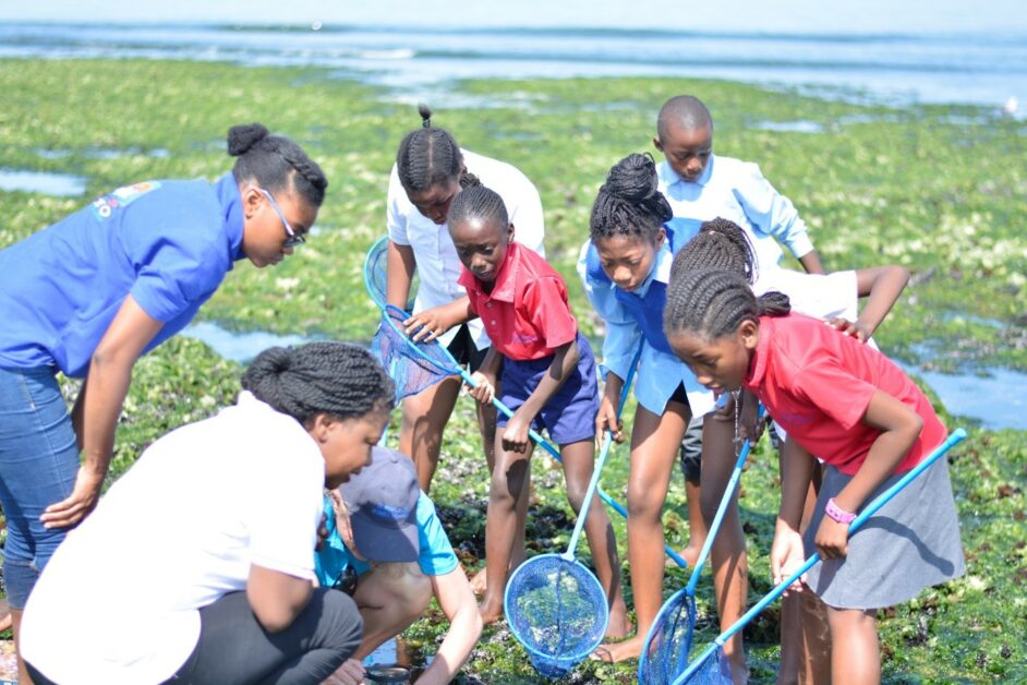 Welcoming local NGOs as Hub partners in Ghana, Namibia and South Africa ...