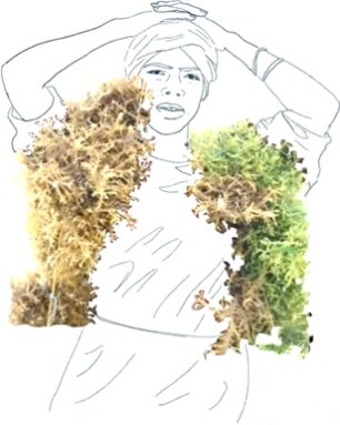 Small-scale fishers’ human rights | One Ocean Hub