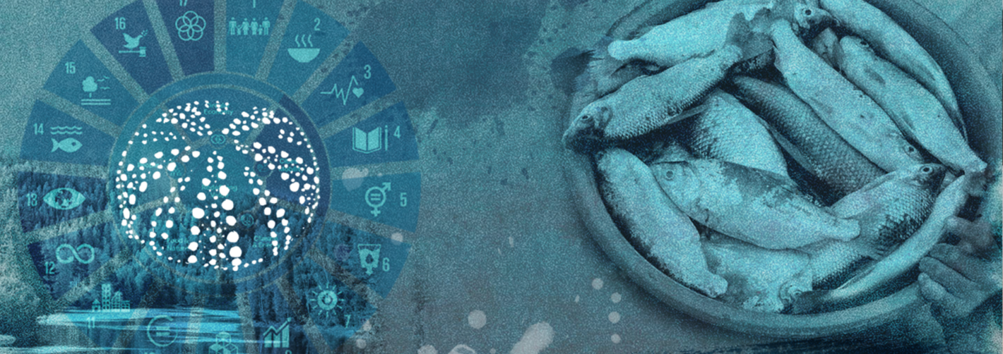 Applying coherently the human rights-based approach to small-scale ...