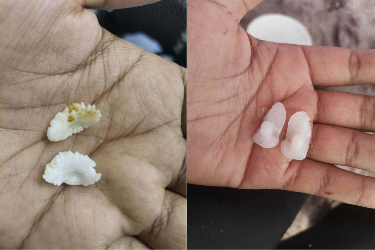 Working in a transdisciplinary team to understand climate vulnerability ...