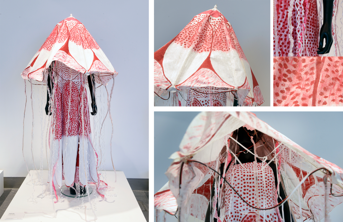 Through the Ocean’s Lens | One Ocean Hub