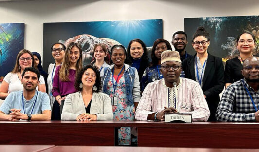 Sharing law and art-based research insights with UN Nippon Fellows ...