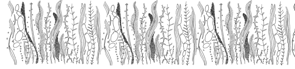 infosheet 7: Environmental injustices and plastic pollution: an example ...