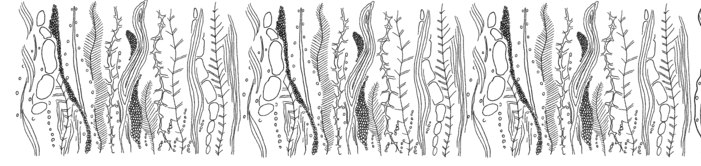 infosheet 7: Environmental injustices and plastic pollution: an example ...