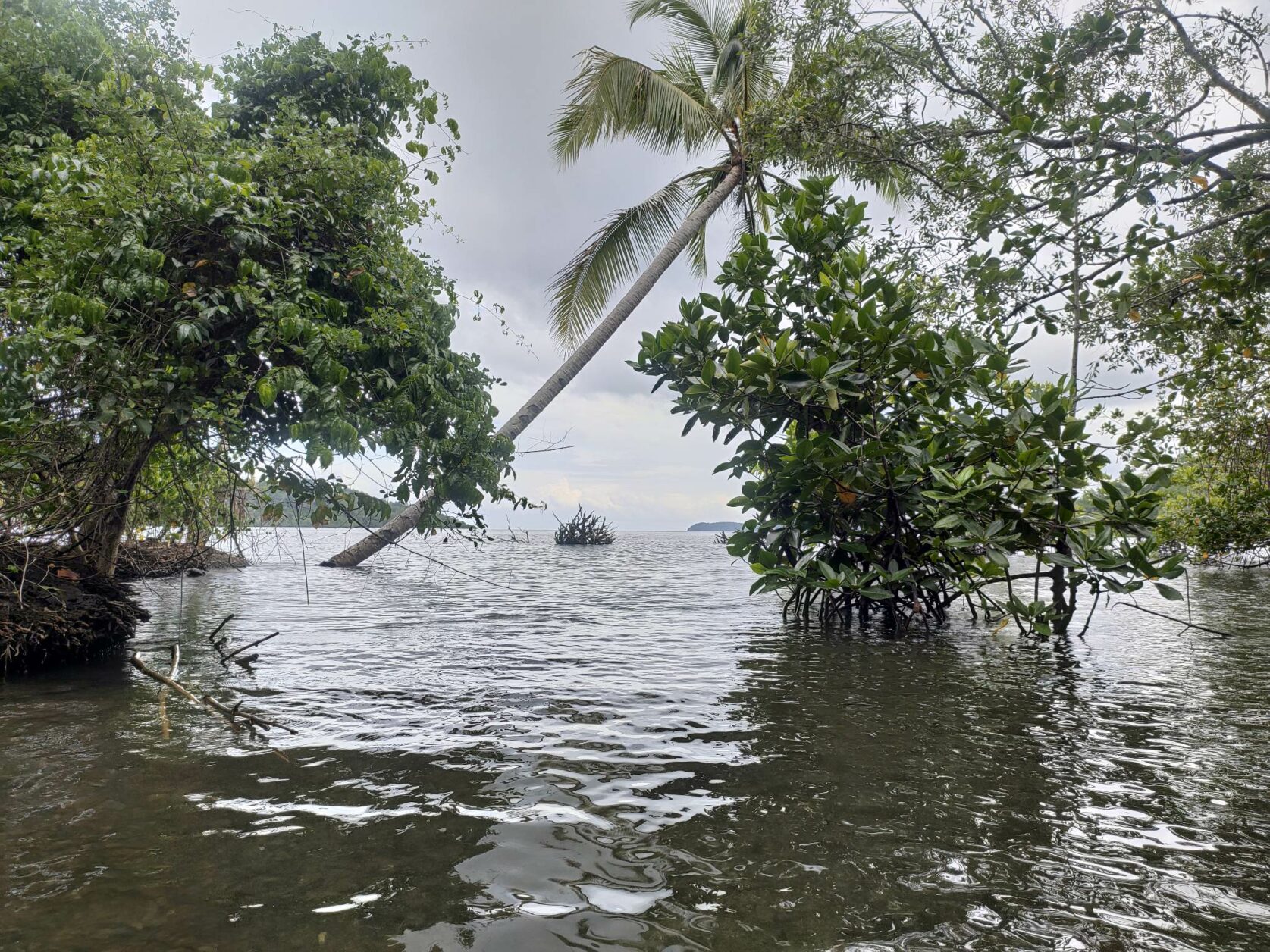Indigenous conservation efforts through Community-Based Resource ...
