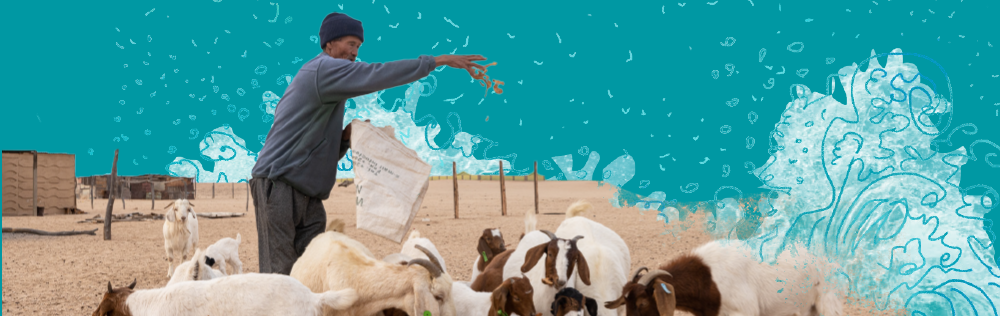 Working with the Topnaar to Protect Human Rights and Revive Ocean ...