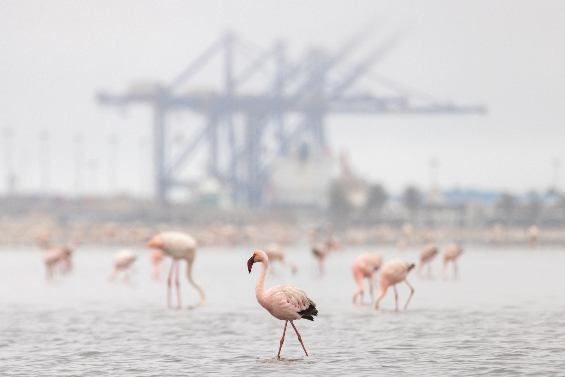 Financial Inclusion and the Small-Scale Fisheries Sector in Namibia: A ...