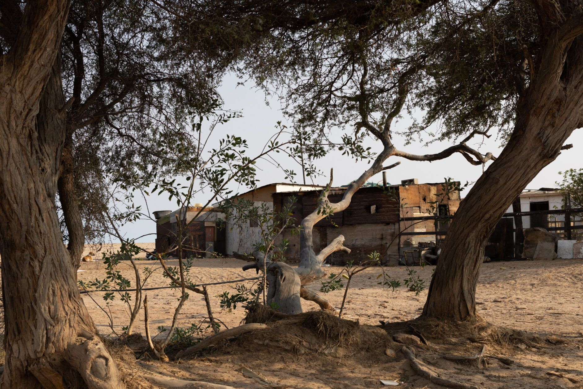 NEW SHORT FILM: ‘Hurinin, the people of the sea’ – a poignant story on ...