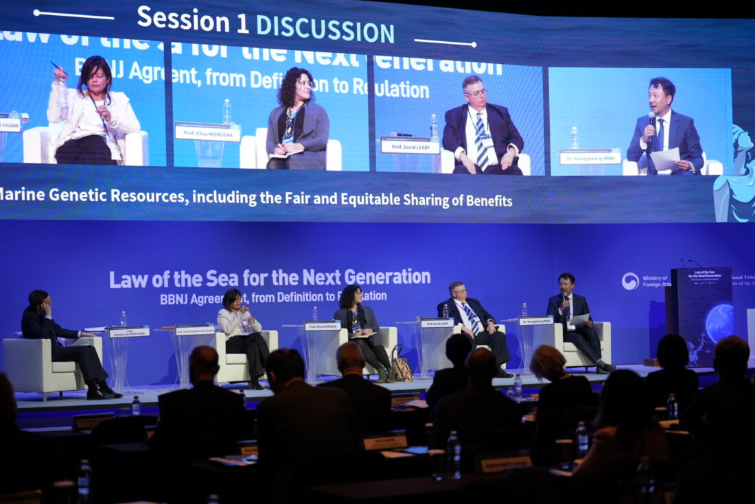 Exploring the path towards implementation of the BBNJ Agreement | One ...