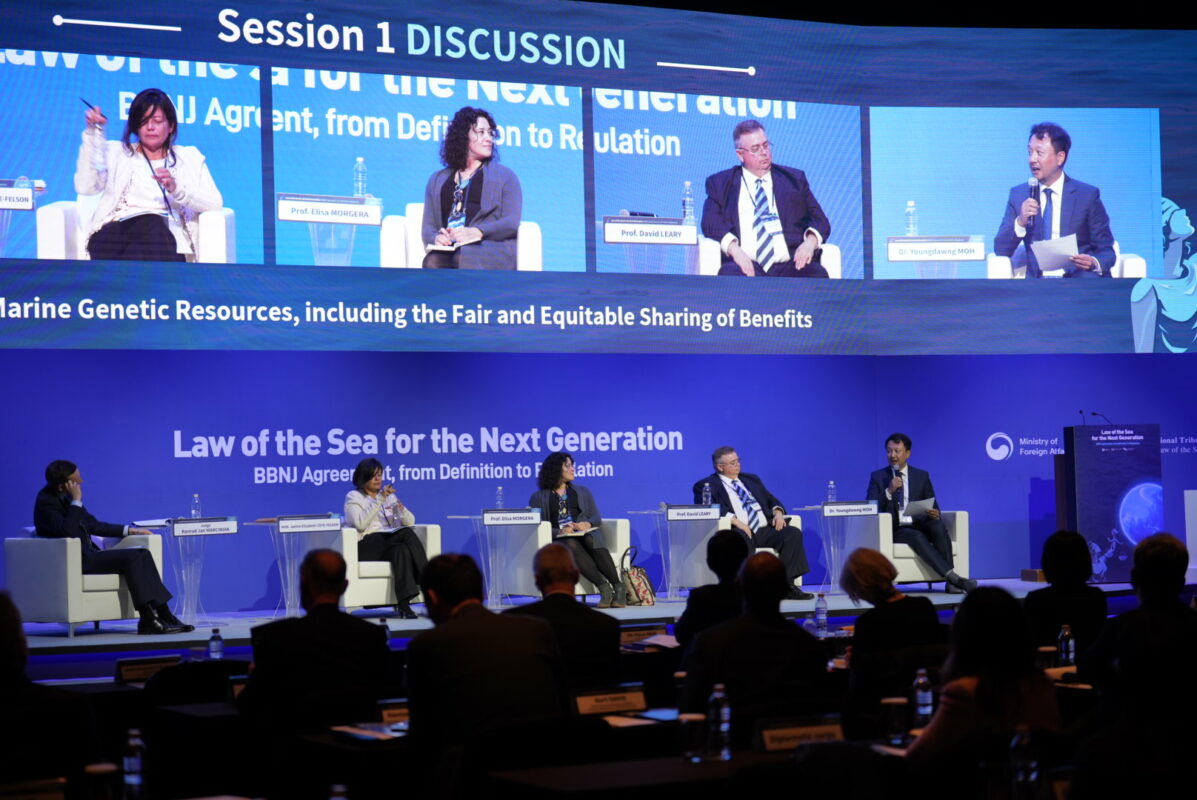 Exploring the path towards implementation of the BBNJ Agreement | One ...