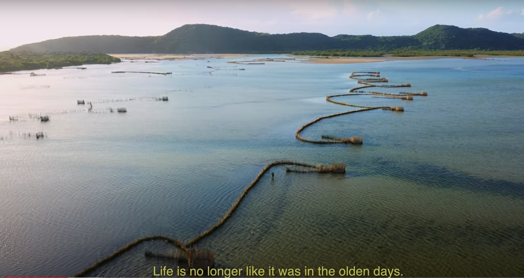 Principles for transformative ocean governance | One Ocean Hub