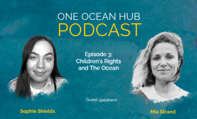 One Ocean Hub | Fair and inclusive decision-making for a healthy ocean