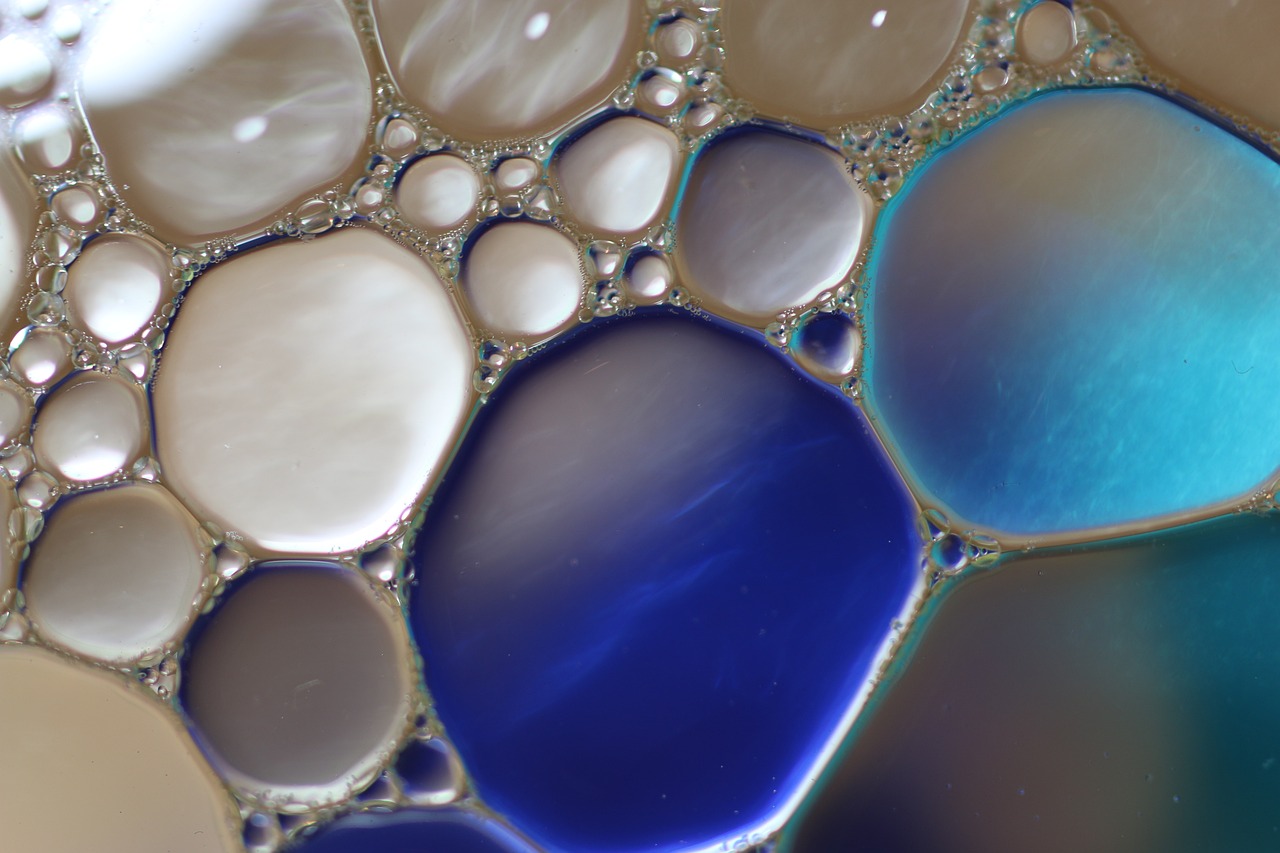 Cadmium exposure experiments on calanoid copepods reveal significant ...