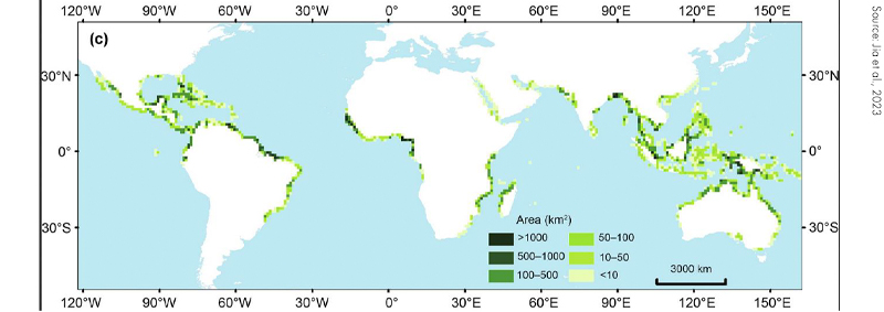 Impact of mangrove selective deforestation on estuarine benthic ...